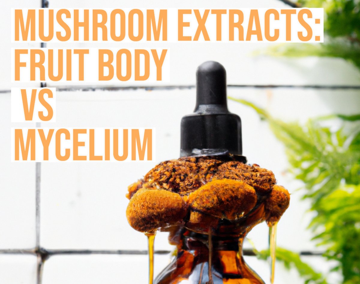 Fruit Body Extract vs Mycelium Extract – VESPER MUSHROOMS