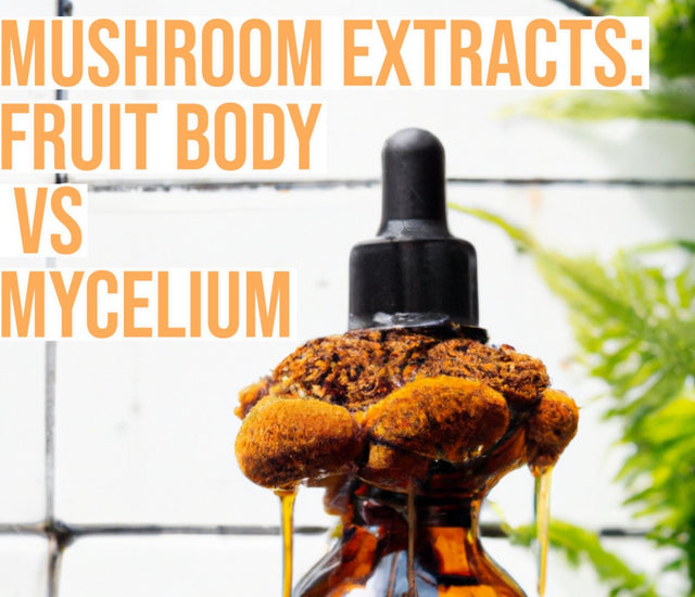 Fruit Body Extract vs Mycelium Extract – VESPER MUSHROOMS