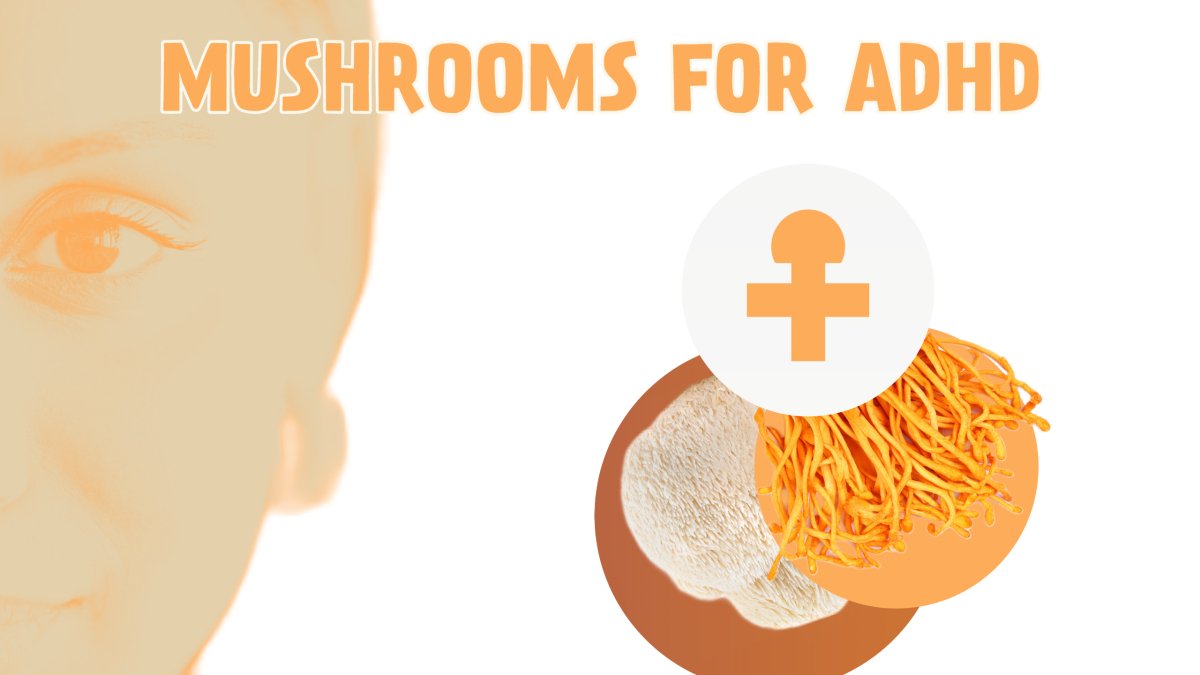 Mushrooms for ADHD – VESPER MUSHROOMS
