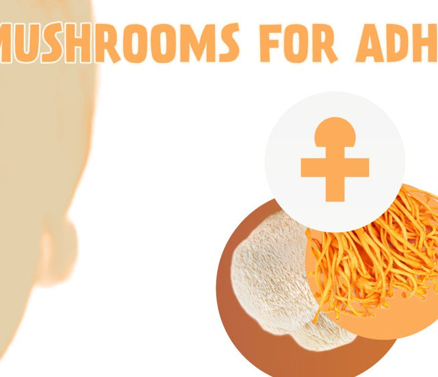 Mushrooms for ADHD – VESPER MUSHROOMS