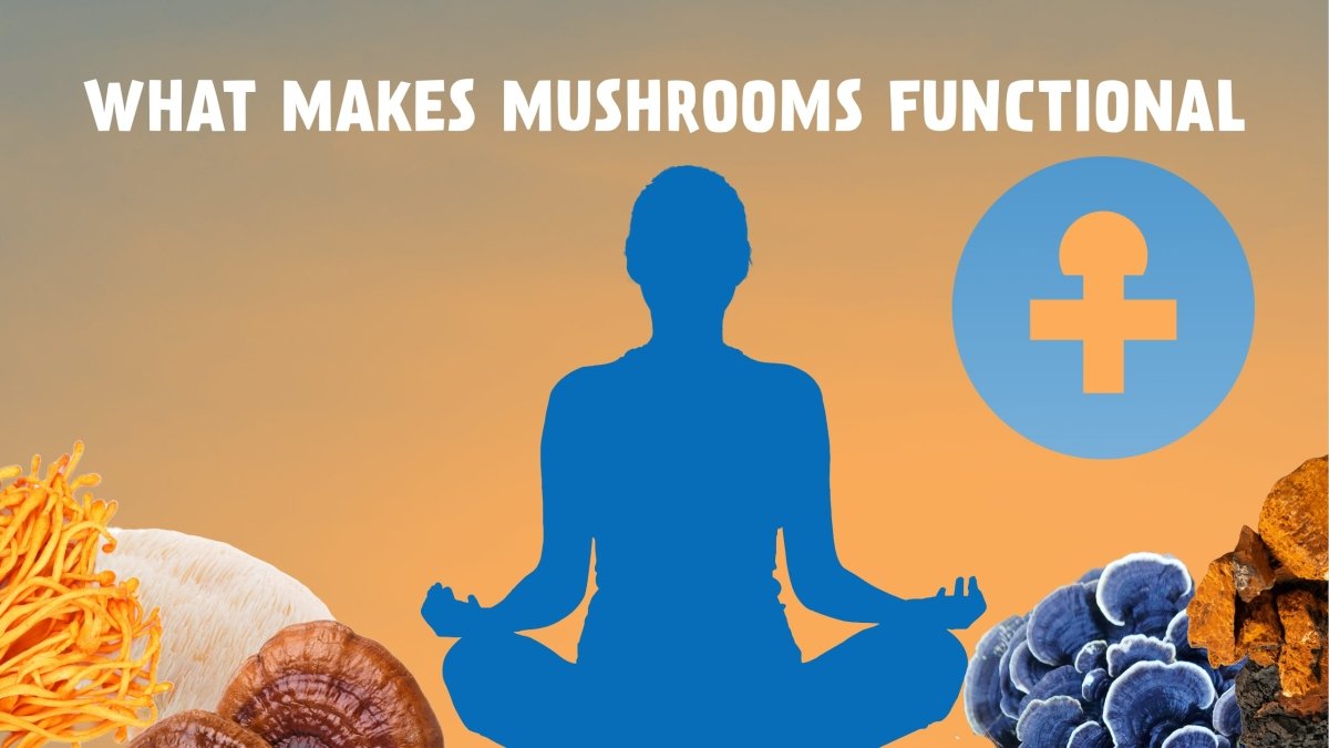 The Rise of Functional Mushrooms: What Does It Mean for a Mushroom to ...